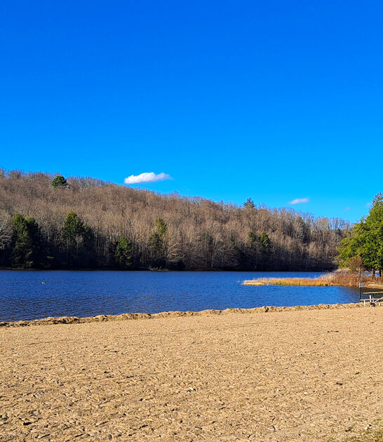 mighty pennsylvania state park ftr
