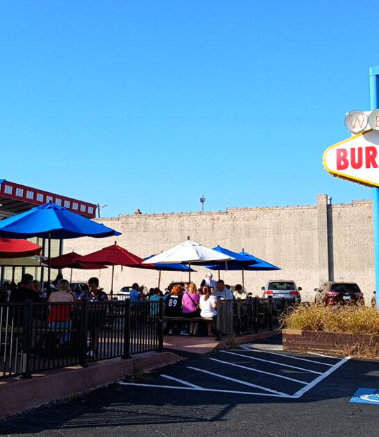 milkshakes burger joint virginia ftr