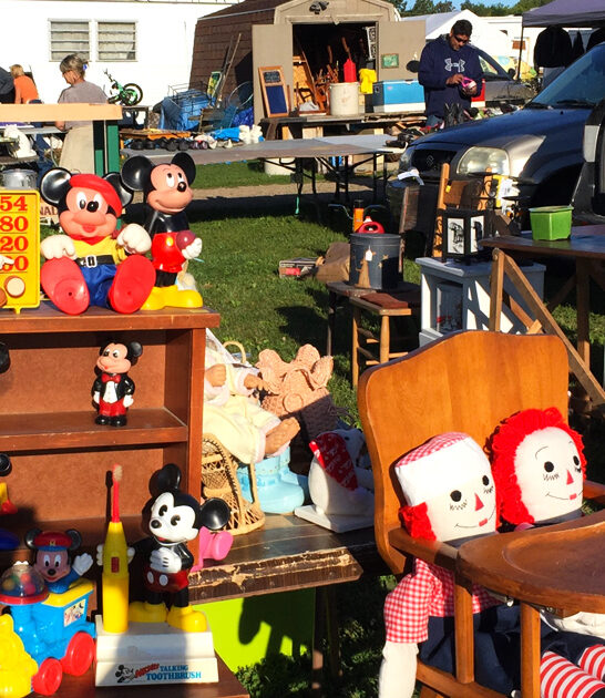 minnesota bargain prominent market ftr