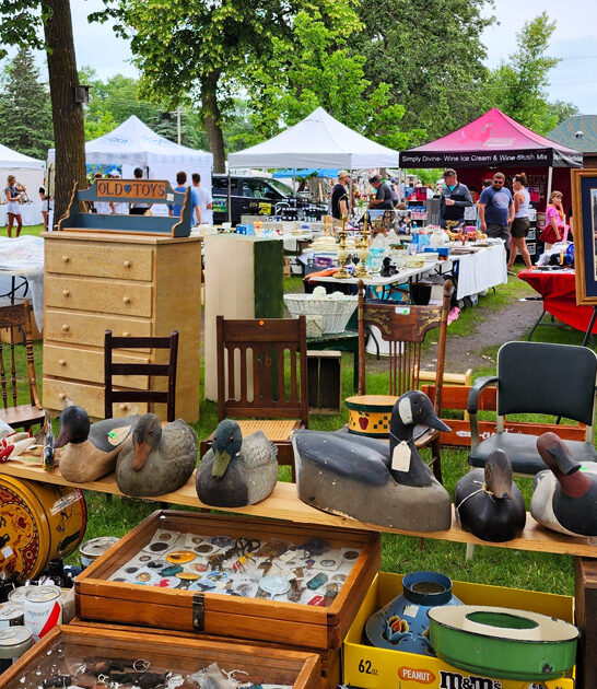 minnesota gigantic swap meet ftr