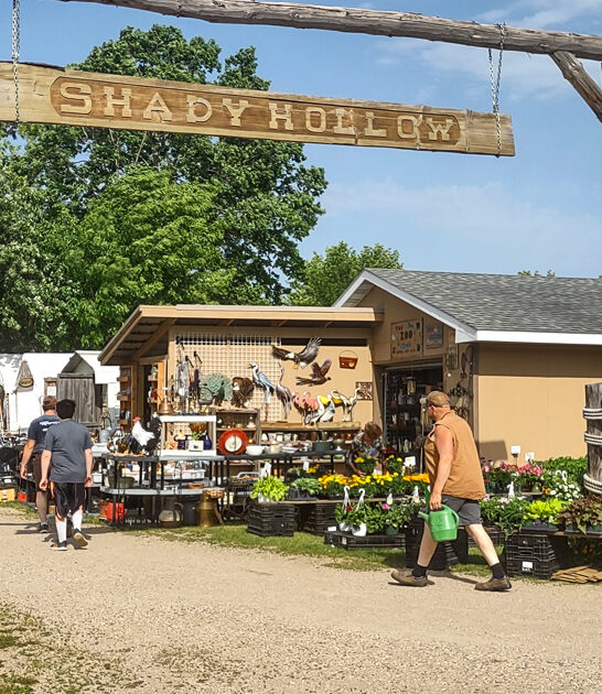 minnesota massive swap meet ftr