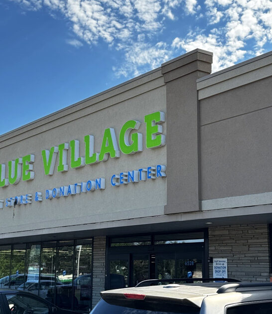 minnesota thrift store spree ftr