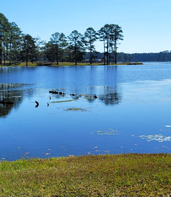mississippi picturesque parks state ftr