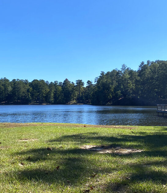 mississippi state dreamy park ftr