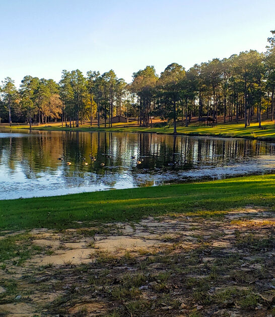 mississippi state park adventure ftr