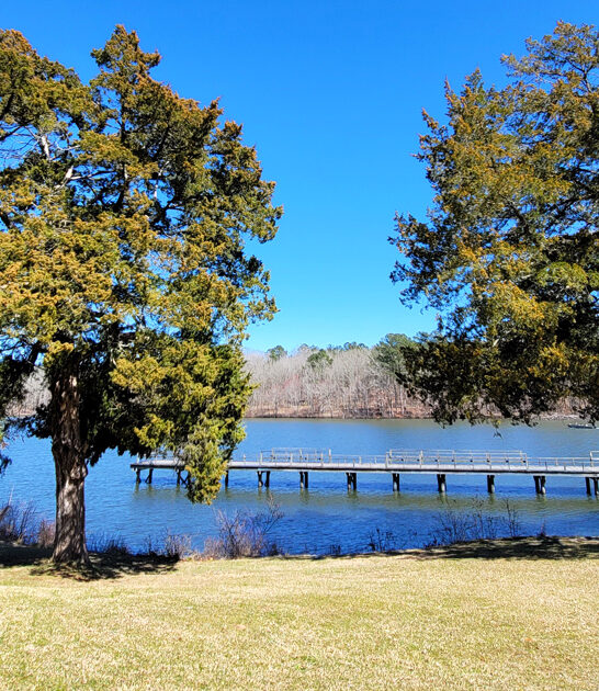 mississippi state park area ftr