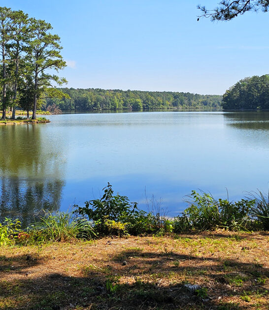 mississippi state park nature ftr