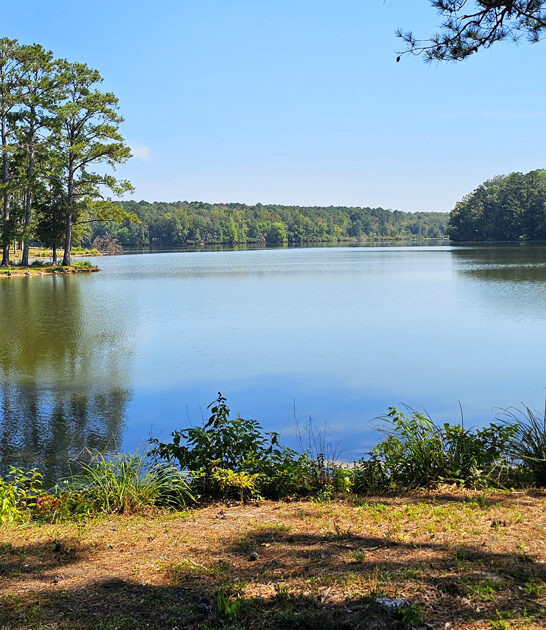 mississippi stunning state parks ftr