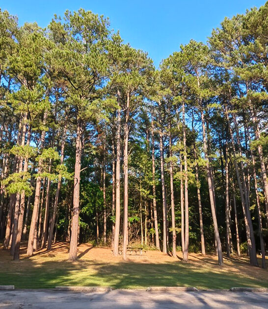 missouri stunning park escape ftr