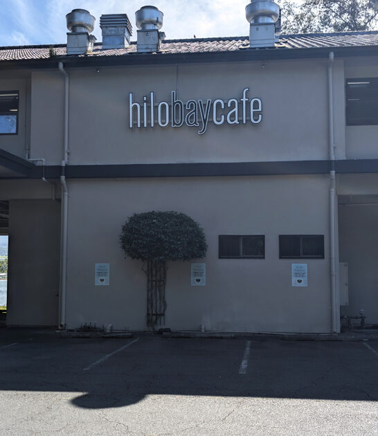 molten lava cake hawaii ftr