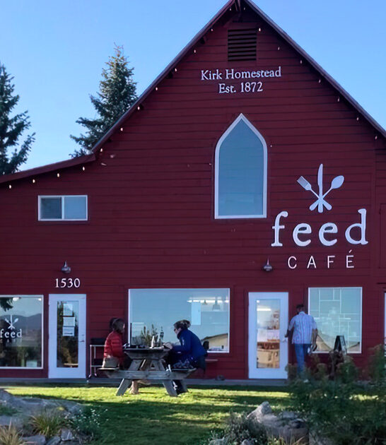 montana affordable classic diners ftr