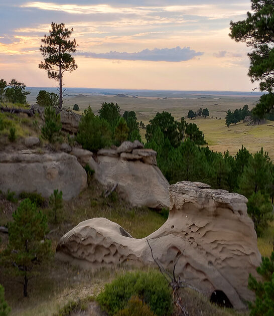 montana state park nature ftr