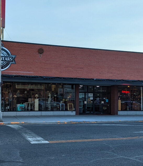 montana underrated antique store ftr