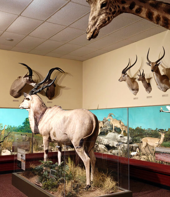 museum south carolina trips ftr