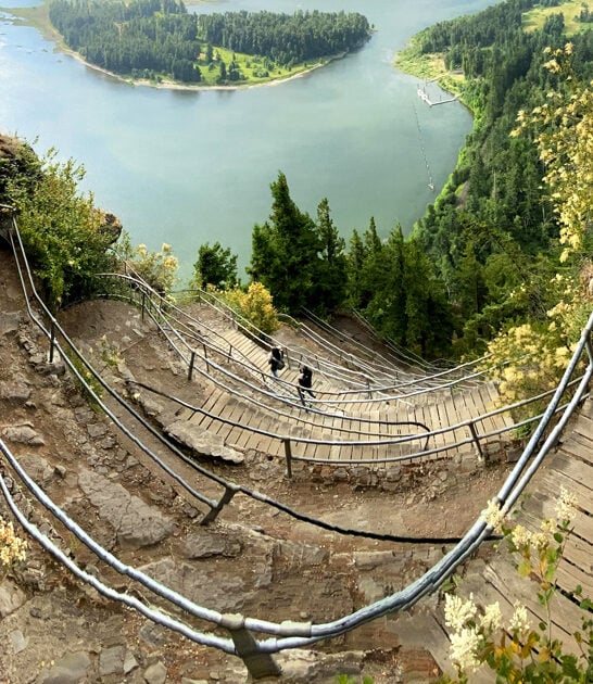 nature lover park washington ftr