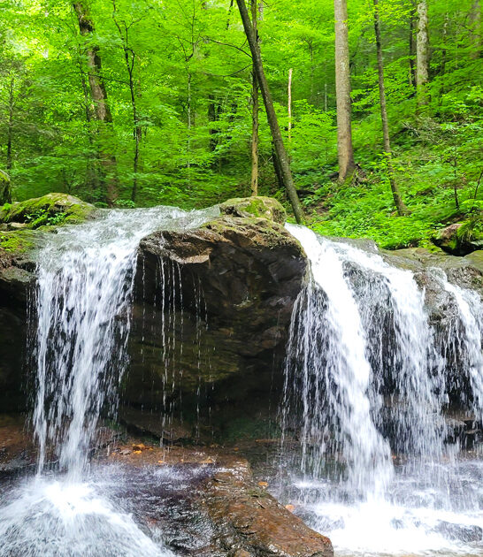 nature lover spots tennessee ftr