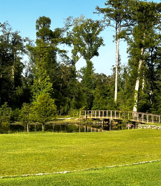 nature lovers park florida ftr