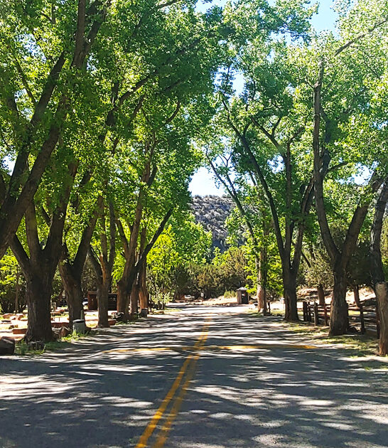 nature spot new mexico ftr