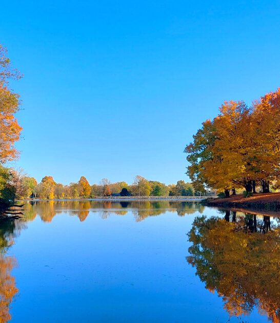 nature wonderful park ohio ftr