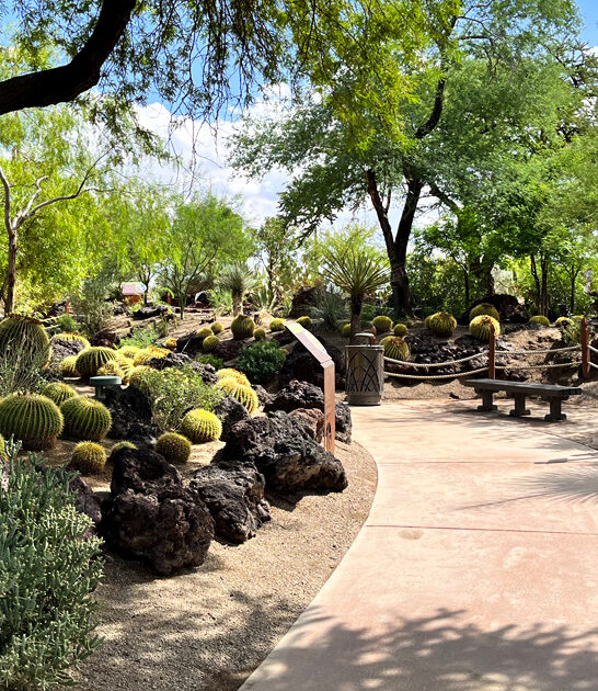 nevada botanical garden enchanting ftr