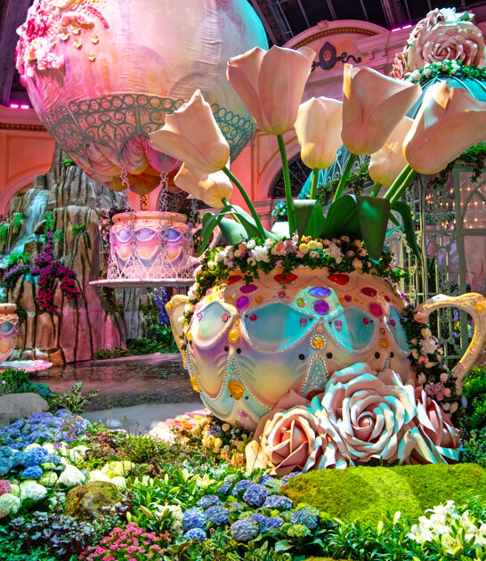 nevada botanical garden site ftr