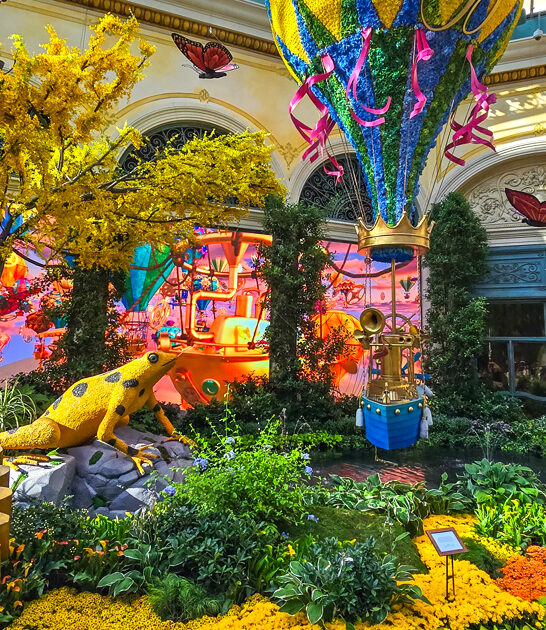 nevada botanical garden space ftr