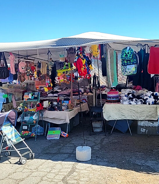 nevada deals swap meet ftr