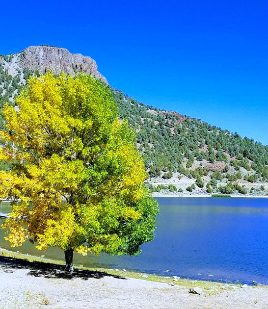nevada dream picturesque park ftr
