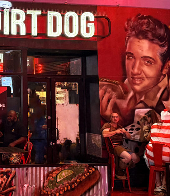 nevada mindblowing hotdog joints ftr