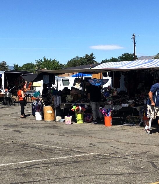 nevada shopping spree swap ftr