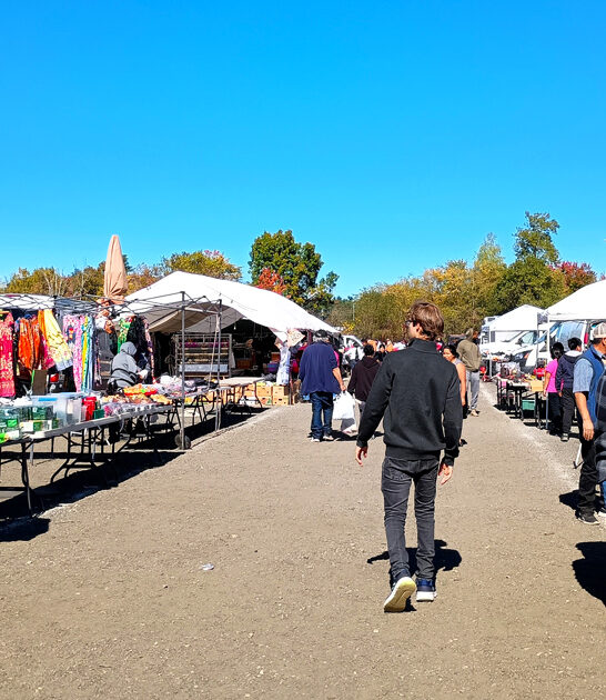 new hampshire bargain hunters ftr