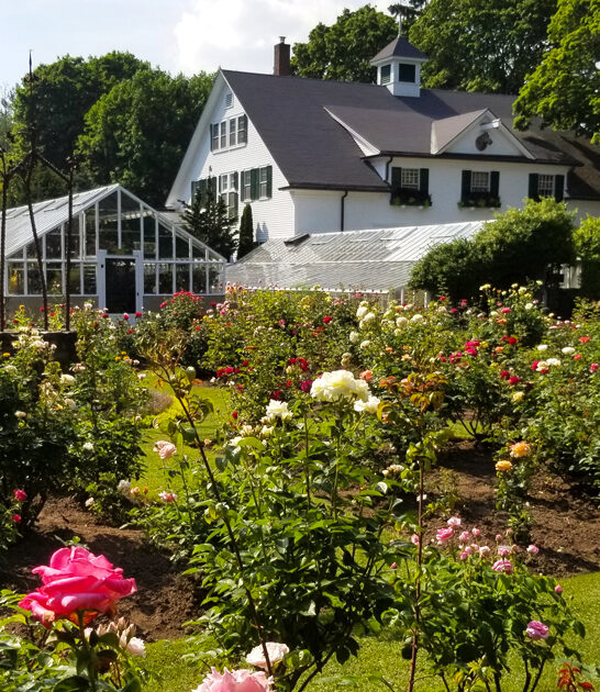 new hampshire botanical garden ftr