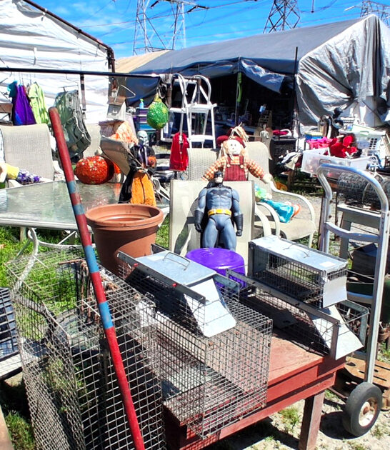 new hampshire deals items ftr