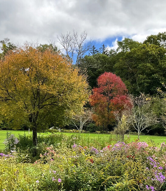 new jersey botanical garden ftr