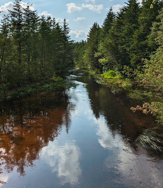 new jersey fascinating park ftr