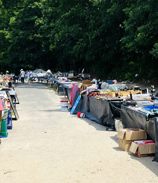 new jersey market bargains ftr