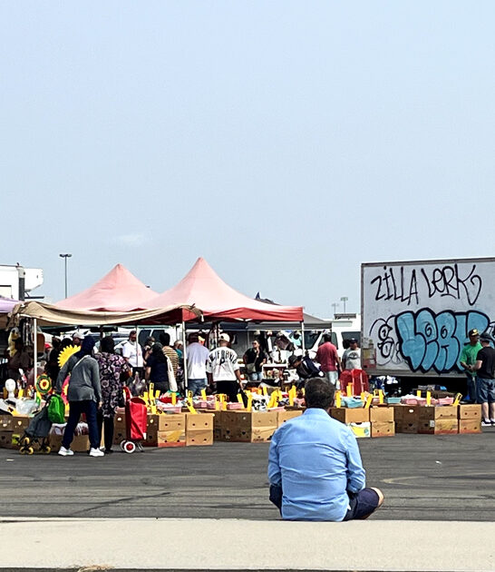 new jersey market superb ftr