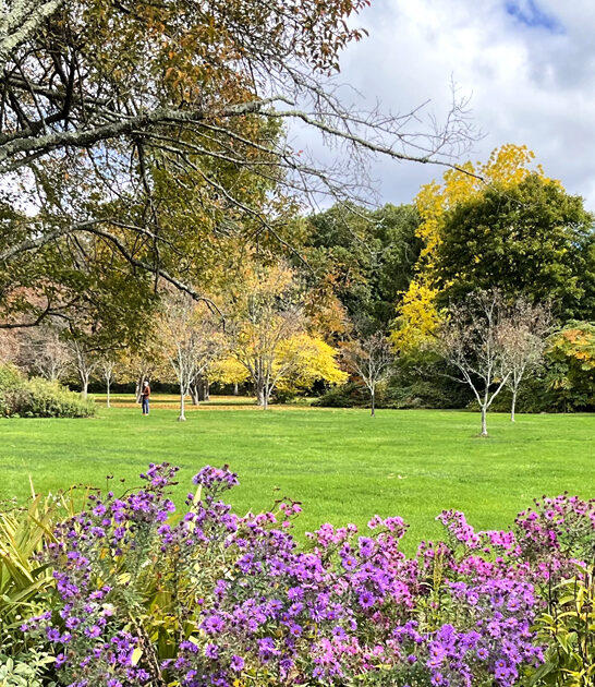 new jersey park stunning ftr