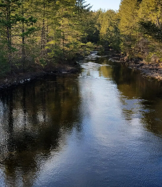 new jersey park trip ftr