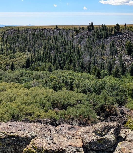 new mexico park trails ftr