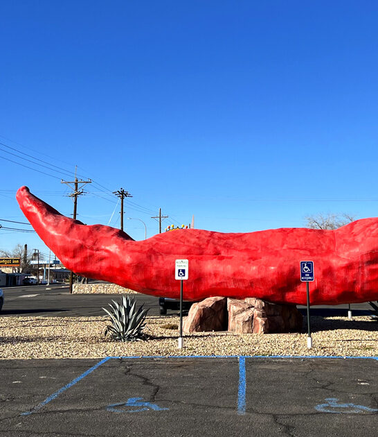 new mexico roadside enormous ftr