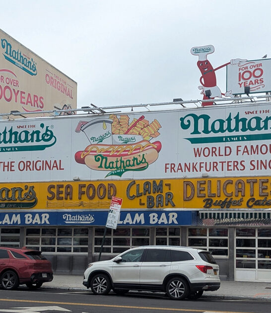 new york dogs world ftr