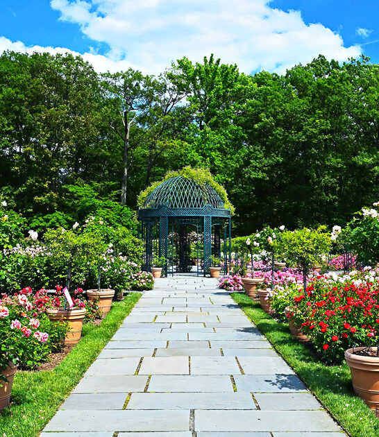 new york garden magical ftr