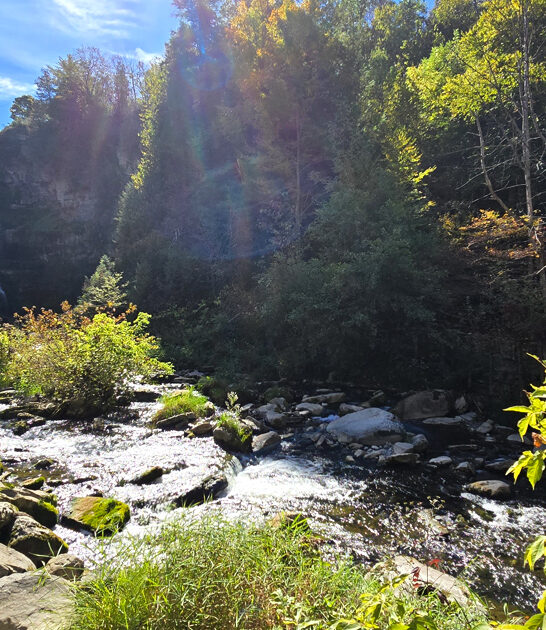 new york magnificent park ftr