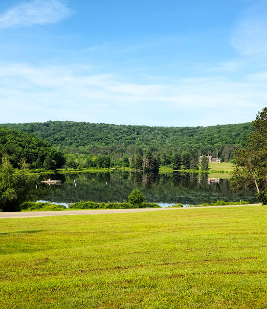 new york stressfree park ftr