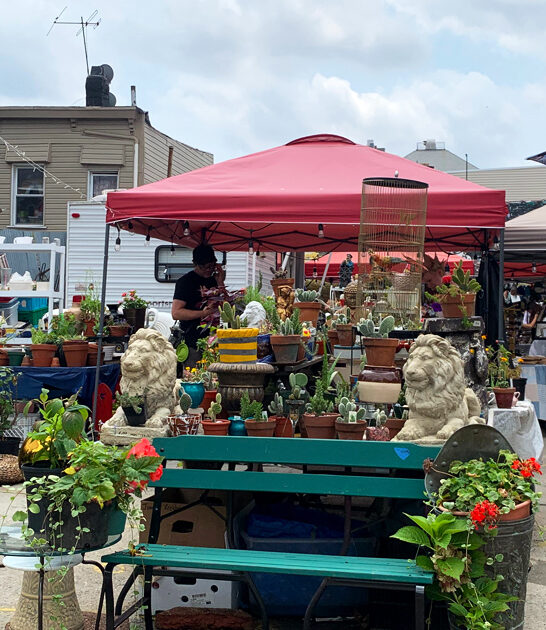 new york swap feels ftr