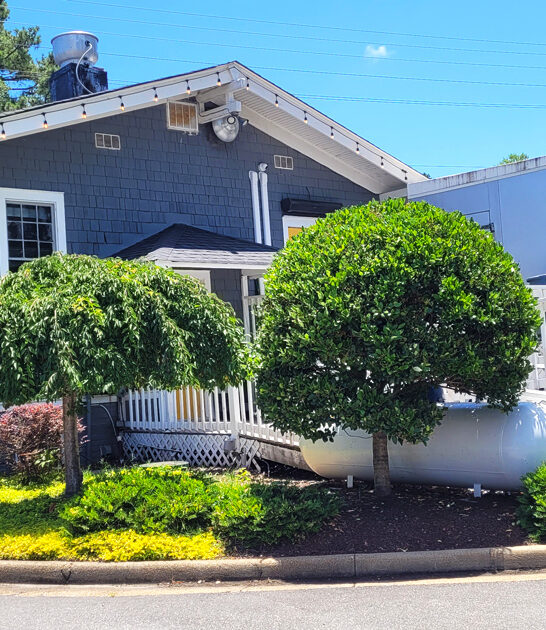 no frills restaurants virginia ftr