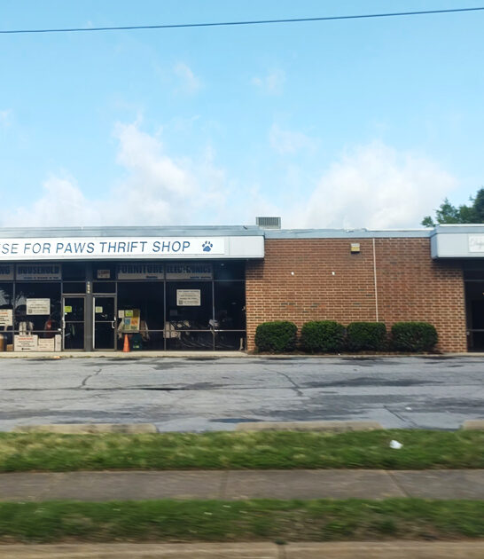 north carolina budget stores ftr