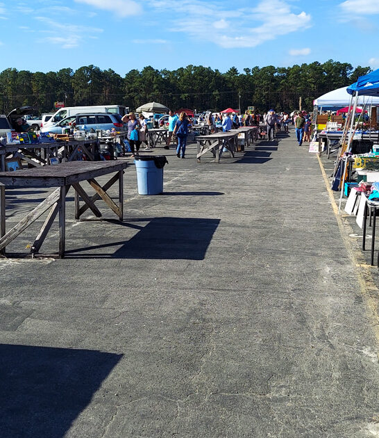 north carolina market vast ftr