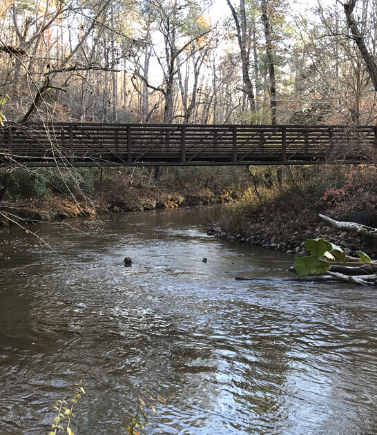 north carolina park nature ftr